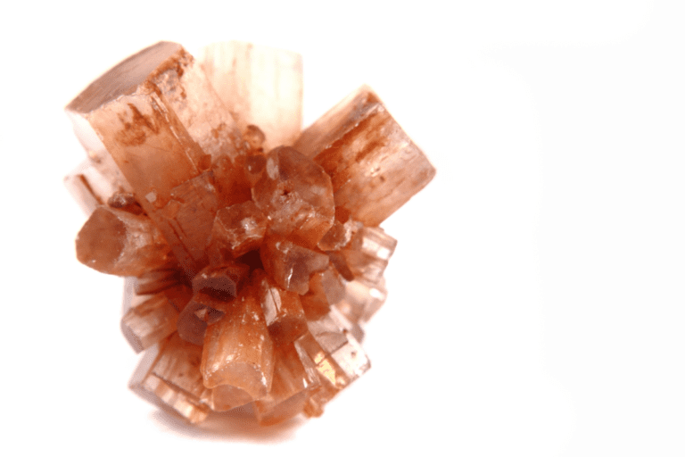 Full Guide To Calcite vs. Aragonite (This is the Difference)